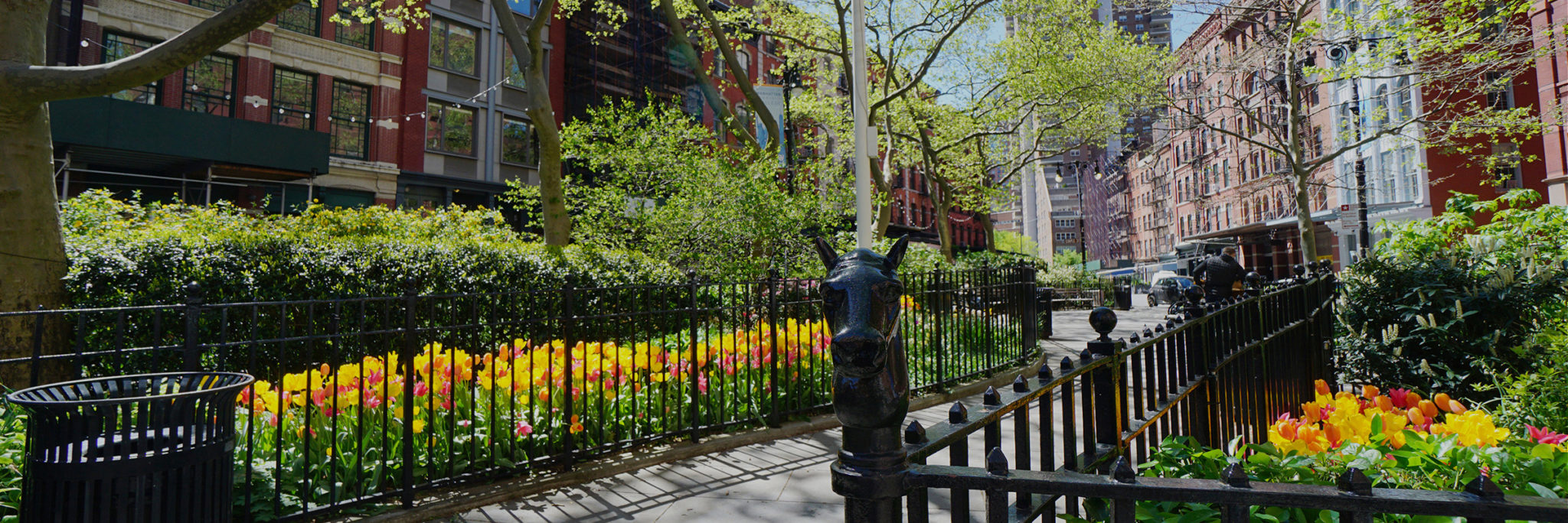 Donate - Friends of Duane Park